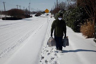 Collapse Life | Substack