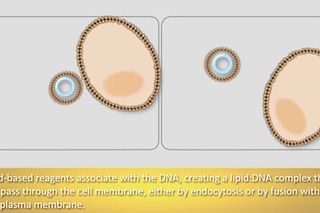 Terral’s Substack | Terral Croft | Substack