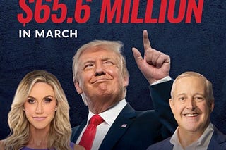 Law and Chaos | Liz Dye | Substack