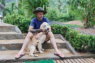 10,000 Dogs | Niall Harbison | Substack