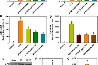 WMC Research | Walter M Chesnut | Substack