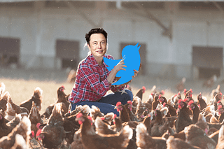 Shorting Hat | Substack