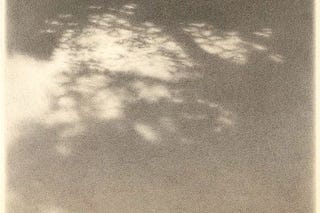 Practice Round | Preslea | Substack