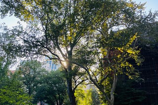 Reading & Eating | Shauna Niequist | Substack