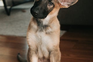 Adastra Speech - Thinking About Speaking | Christi Barb, PhD | Substack