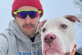 Why is this interesting? | Noah Brier | Substack