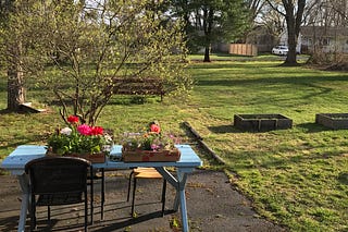 Diary Of Amy Rigby | Substack