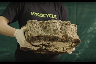 Climate Capital | Substack