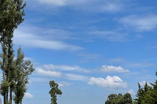 Mulembe Online | Beverly | Substack