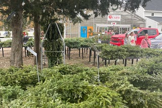 A Cape Cod Voice | Seth Rolbein | Substack