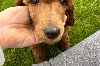 Extra Good | Bryce Gruber | Substack