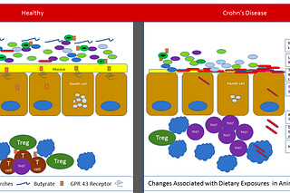 Harnessing the Power of Nutrients | Chris Masterjohn, PhD | Substack