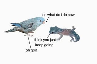 Archive - bookbear express