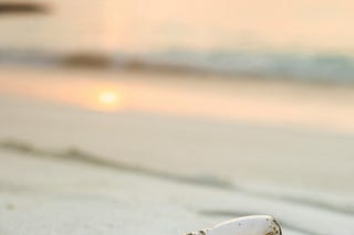 The Positive Pen | John Rinaldo | Substack