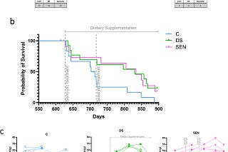 WMC Research | Walter M Chesnut | Substack