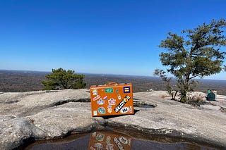 Reflections from Pause | Krissy Ferris | Substack