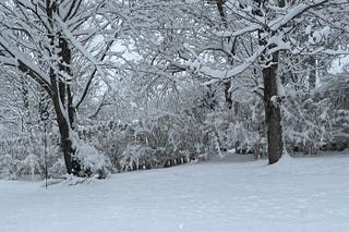 William Lobb's Blog, Newsletter and General Tomfoolery | Substack