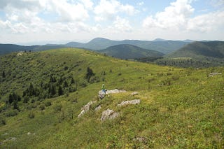 Rx Nature | Jeanne Malmgren | Substack