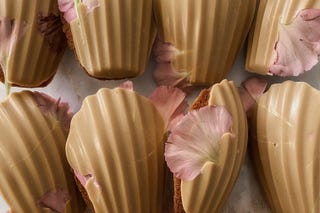 Wu Haus | Alison Wu | Substack