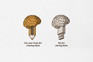 Visual Growth | Ash Lamb | Substack