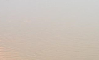 Astral Codex Ten | Scott Alexander | Substack