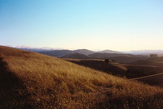 Human Stuff from Lisa Olivera | Substack