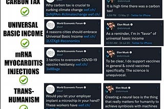 Gemma O'Doherty's Substack | Gemma O’Doherty | Substack