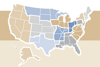 The Last Bear Standing | Substack