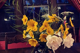 Demotivations With Anne Podcast | Substack