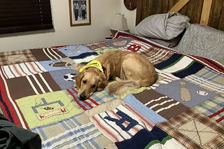 Gray's Voice | Connie Gray | Substack