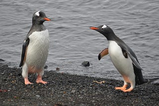 Notorious R.O.B. | Rob Hahn | Substack