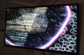 damon’s Substack | damon mcclure | Substack