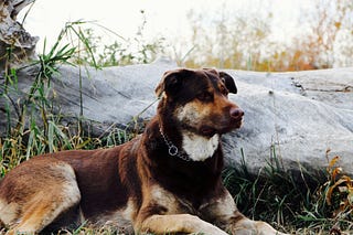 et cetera | Alheli Picazo | Substack