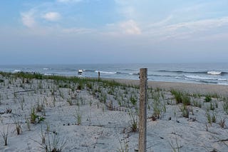 Lunch on Friday | Angelina Hazzouri | Substack