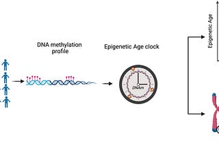 WMC Research | Walter M Chesnut | Substack