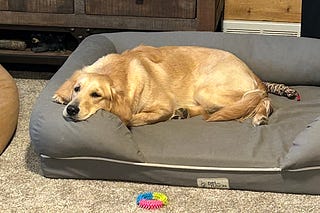 Gray's Voice | Connie Gray | Substack