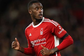 The Swiss Ramble | Substack