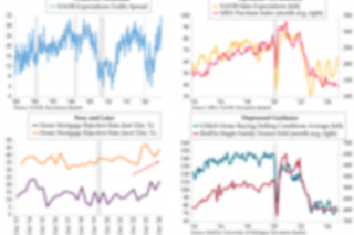 The Daily Feather | Danielle DiMartino Booth | Substack