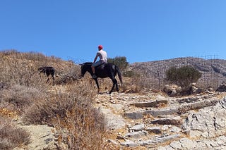 Tabled | Julia Watson | Substack