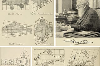 The Roots of Progress | Jason Crawford | Substack