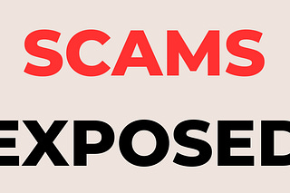 The System Newsletter | Ally Fortis | Substack