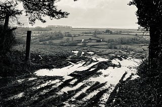 Three Wild Steps | Lynne Wyness | Substack