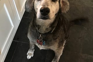 To the Contrary | Charlie Sykes | Substack