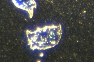 Humanity United Now - Ana Maria Mihalcea, MD, PhD | Substack