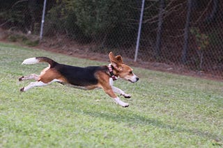 Understandably by Bill Murphy Jr. | Substack