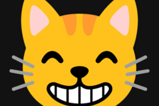 Little Big Cat | Substack