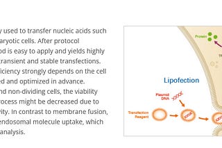 Maria Gutschi | Washed Up Pharmacist | Substack