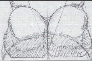 Il dottor Divago, il disegno, la pittura e la vita | Alessandro Pedroni | Substack