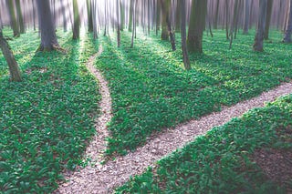 Two Sylvias Press' Weekly Muse | Substack