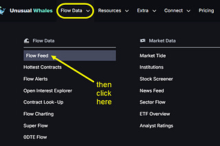 Unusualwhales Newsletter | Unusual Whales | Substack